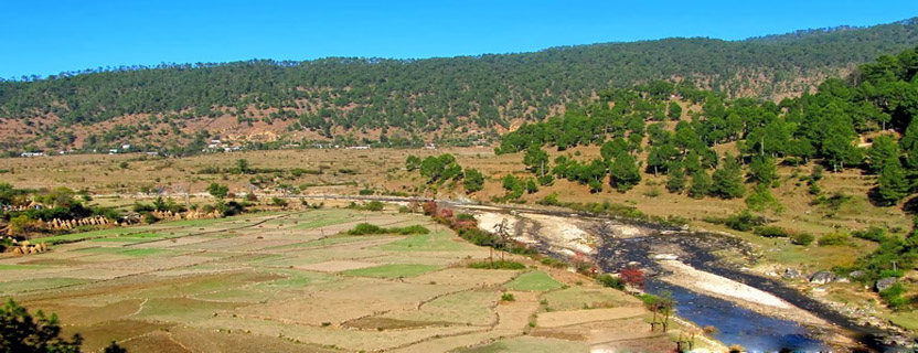 someshwar.jpg