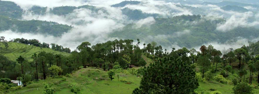 hill-stations-near-lansdowne.webp