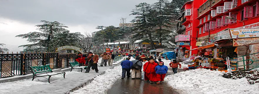 lakkar-bazaar-in-shimla.webp